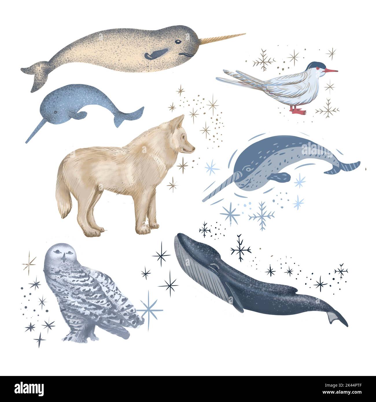 arctic animals nature wild world cold north cute cartoon ice snowflake ...