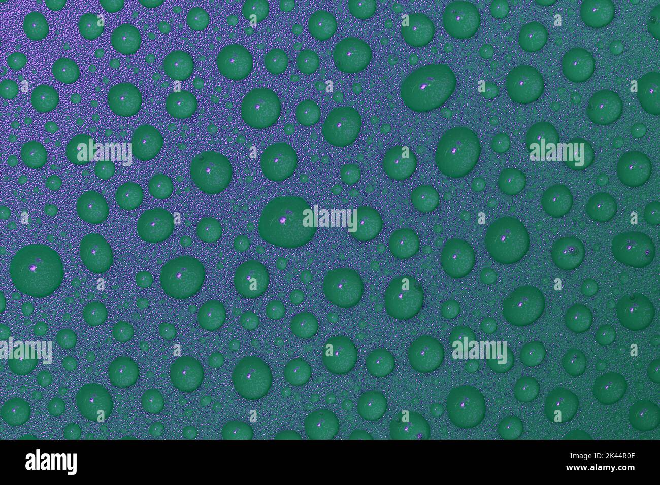 A close-up of green water droplets on a shiny green and magenta plastic ...