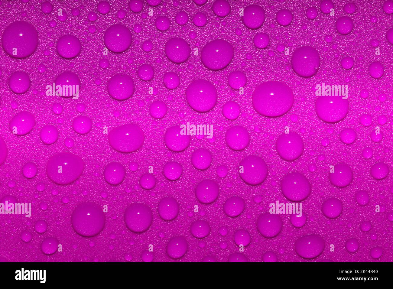 A close-up of pink water droplets on a shiny pink plastic surface ...