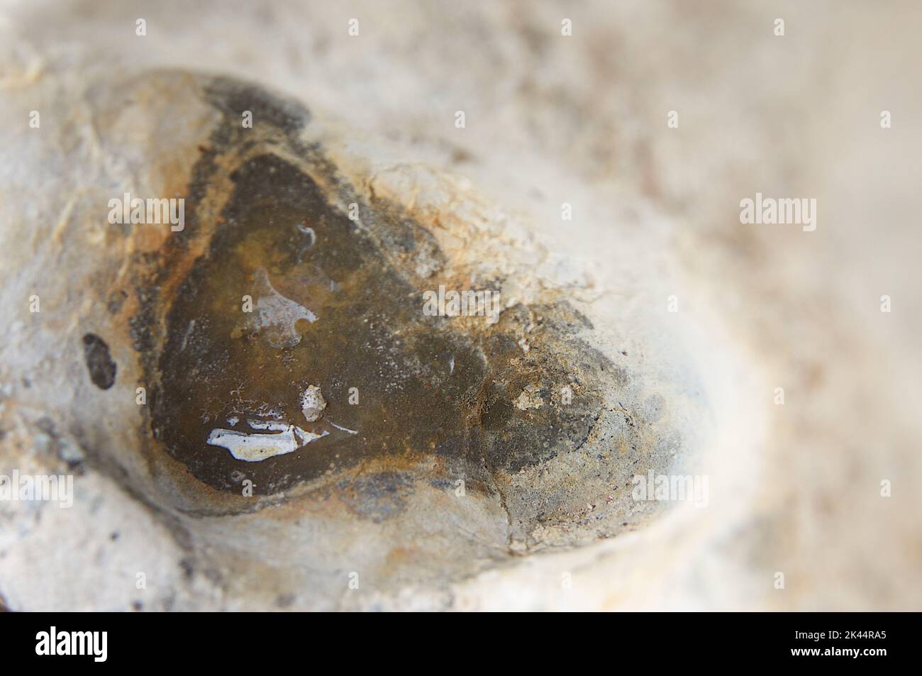 Parts of a Castle image Stock Photo - Alamy