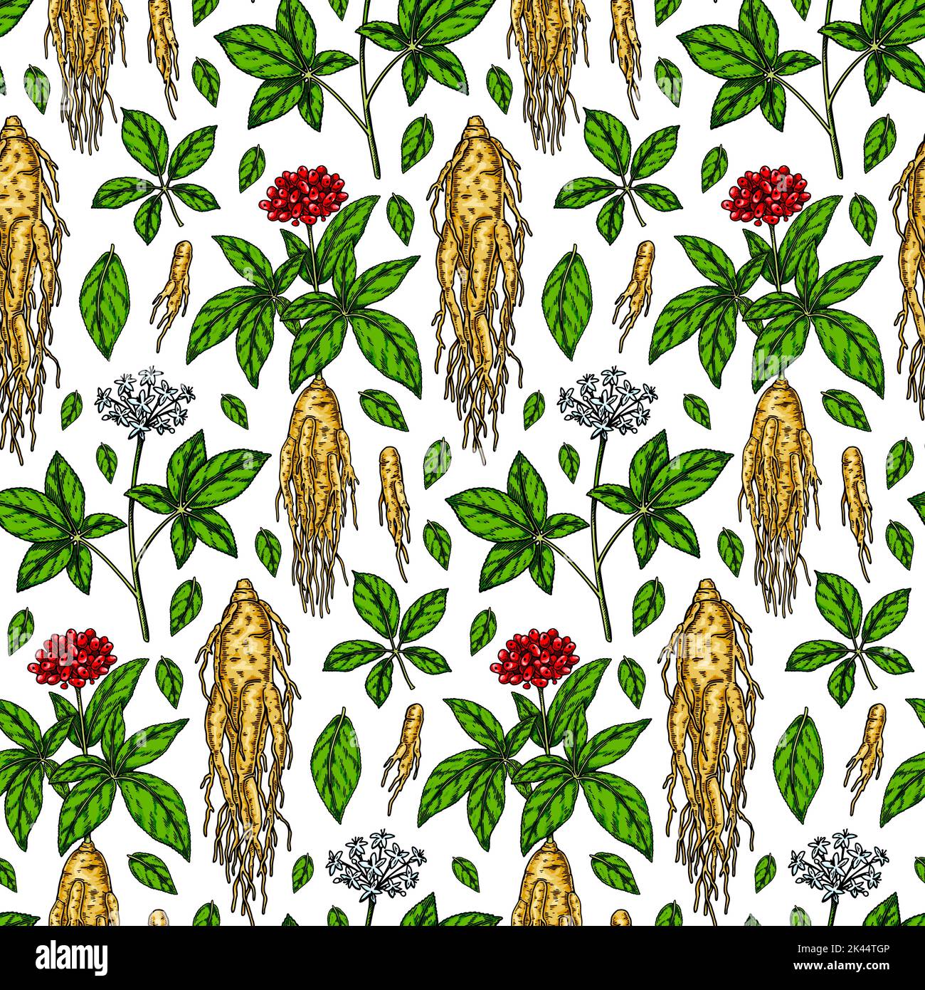 Colorful Hand drawn ginseng seamless pattern. Vector illustration in ...