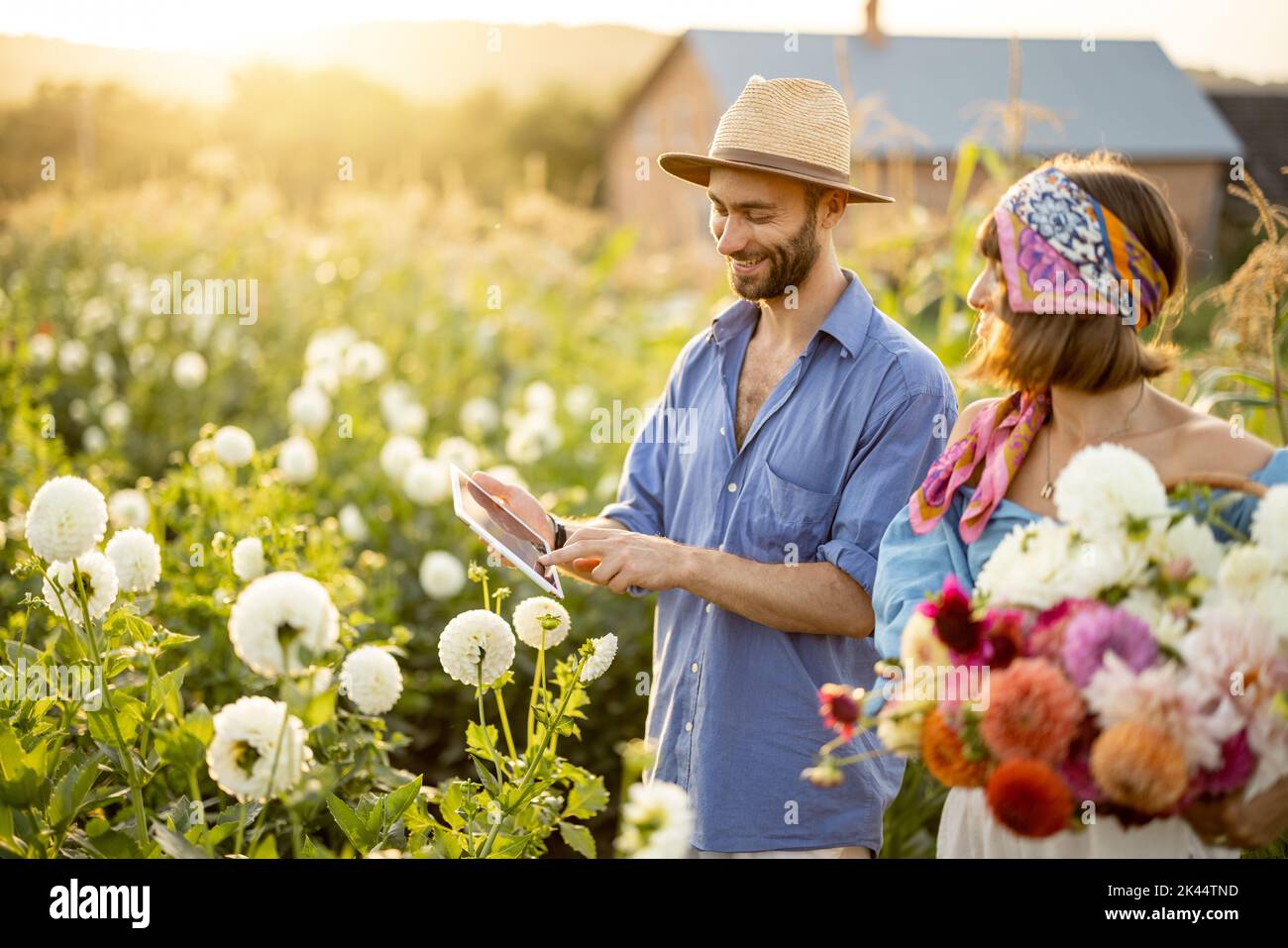 Work on the farm hi-res stock photography and images - Alamy