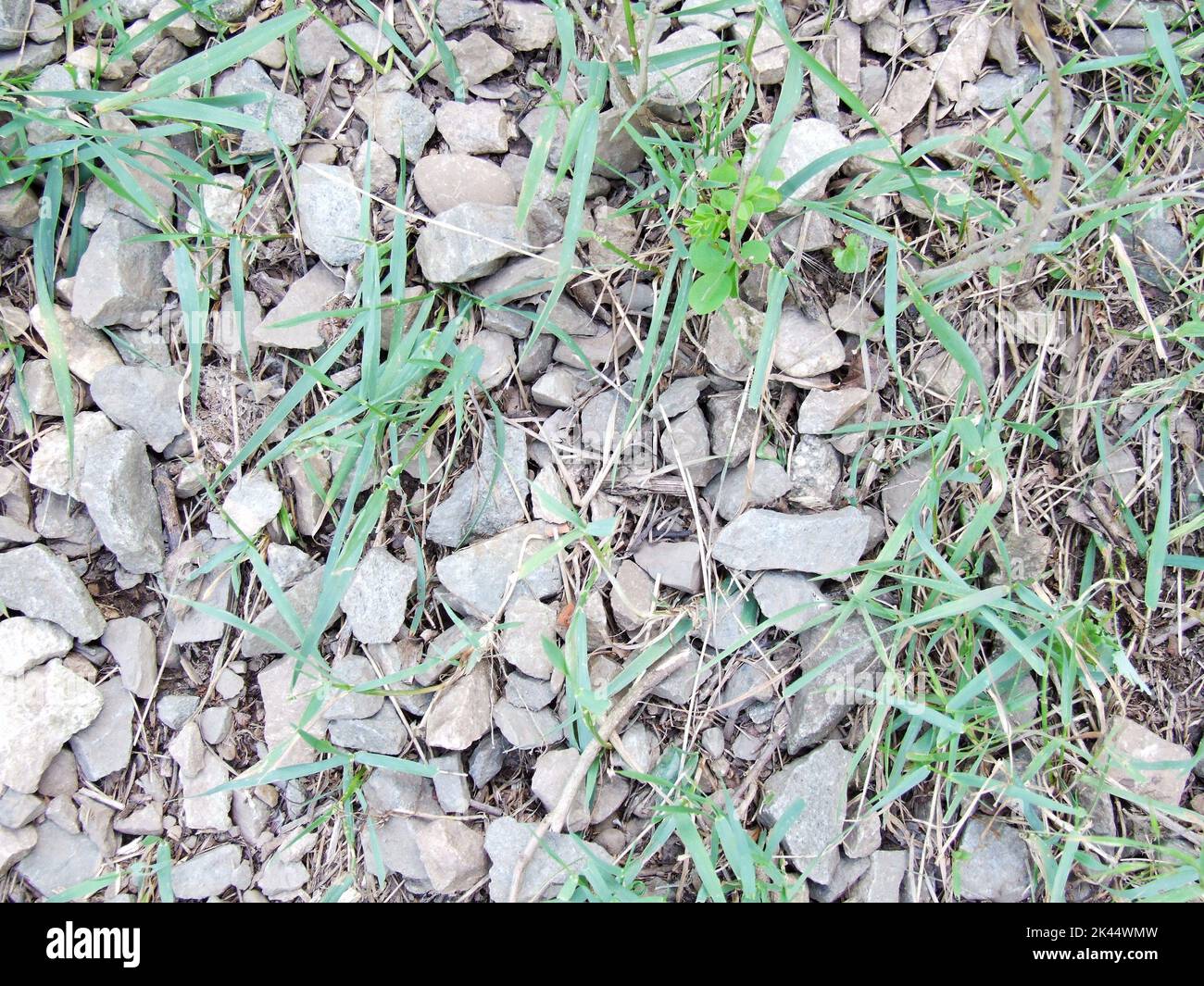 Background rocks texture - Stock Image Stock Photo - Alamy