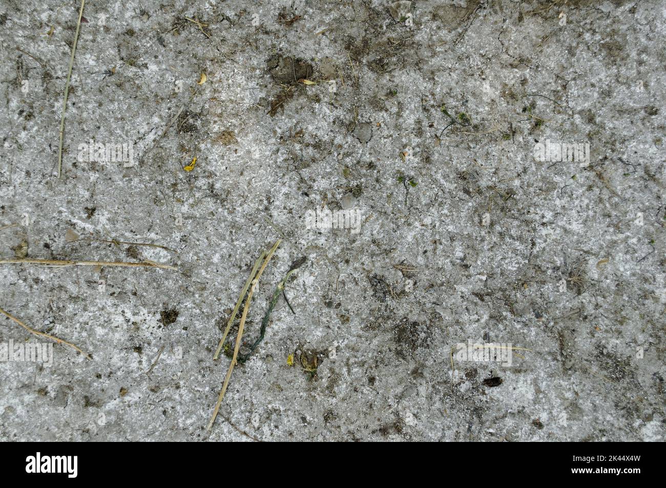 Texture stock photo Stock Photo - Alamy