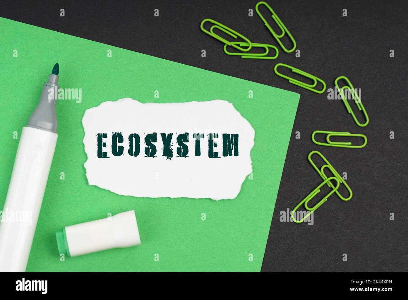 Ecology concept. On a black background, a marker, paper clips, a sheet ...