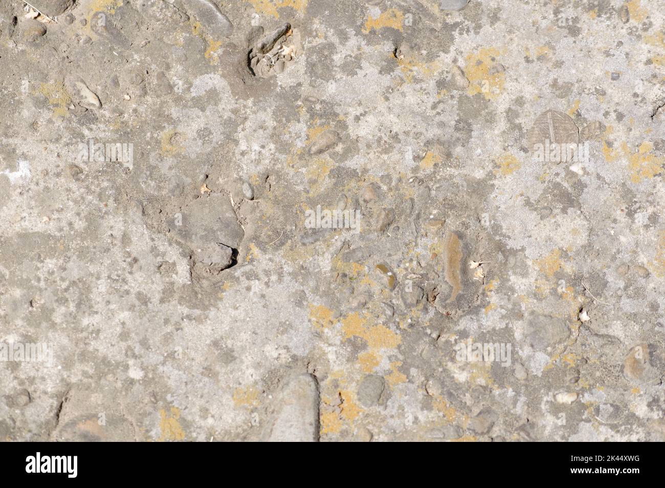 Texture stock photo Stock Photo - Alamy