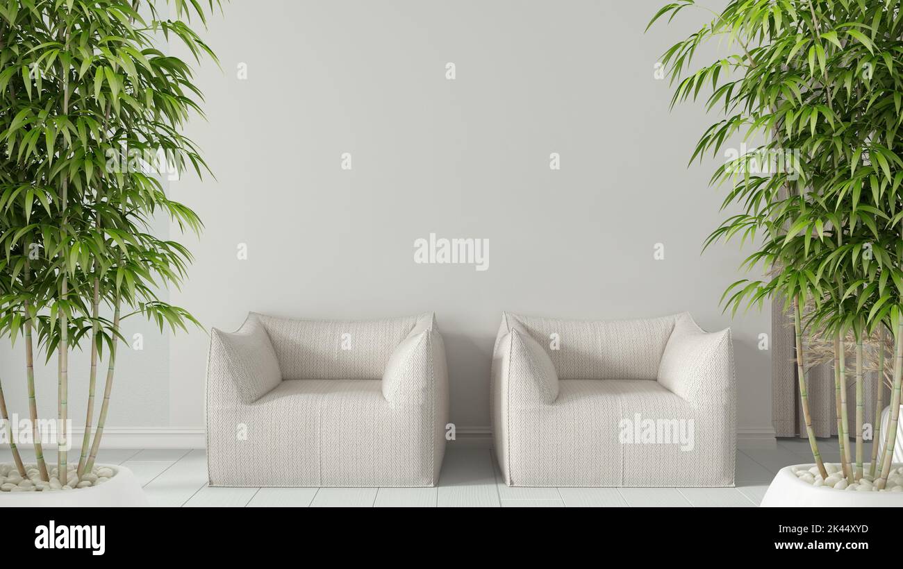 Zen interior with potted bamboo plant, natural interior design concept ...