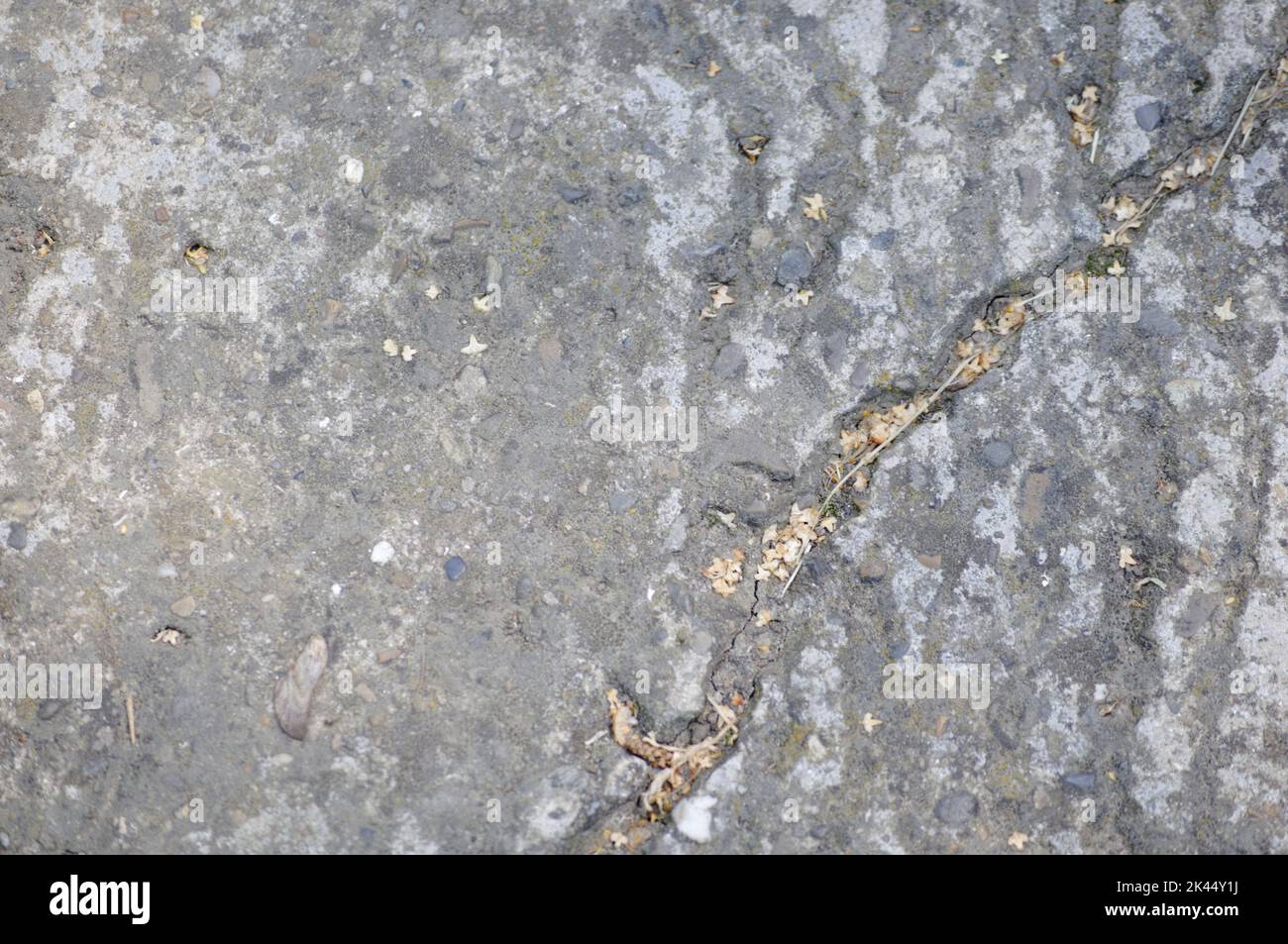 Texture stock photo Stock Photo - Alamy