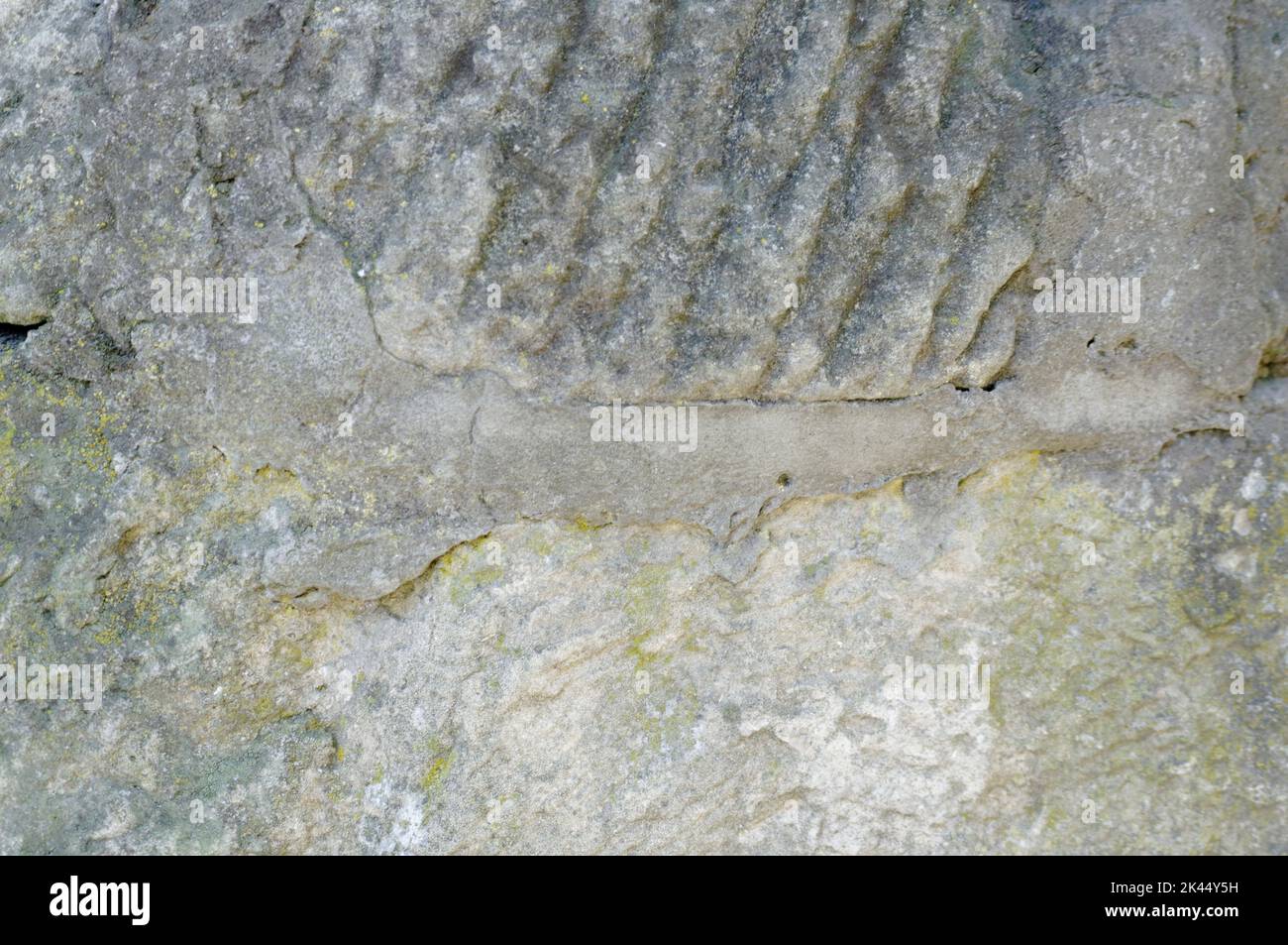 Texture stock photo Stock Photo - Alamy