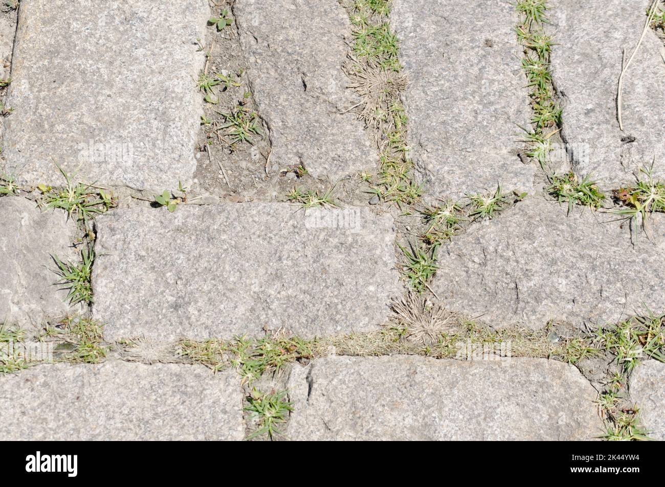 Texture stock photo Stock Photo - Alamy