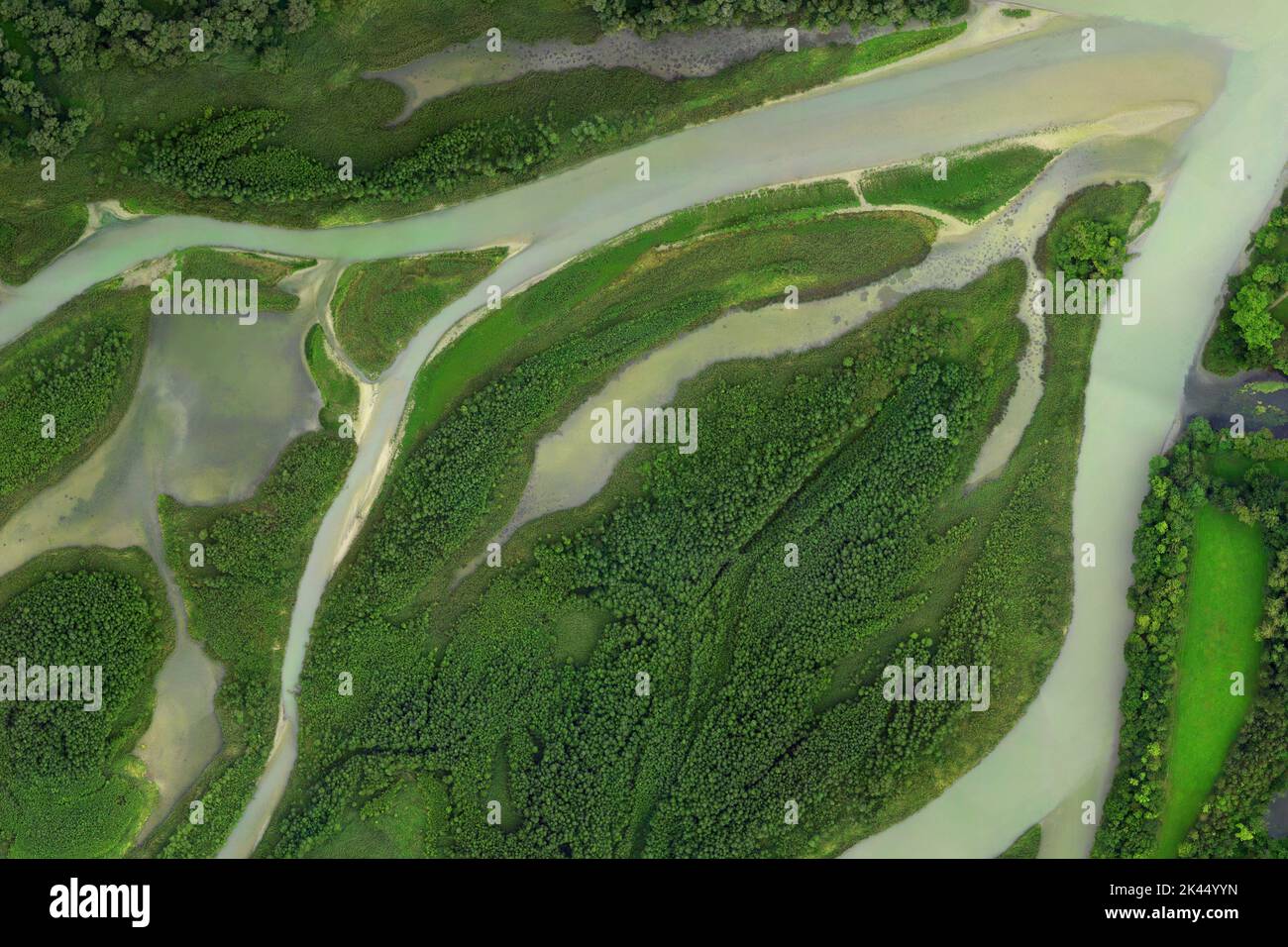 Aerial view taken by a drone showing wetlands with large forests and ...