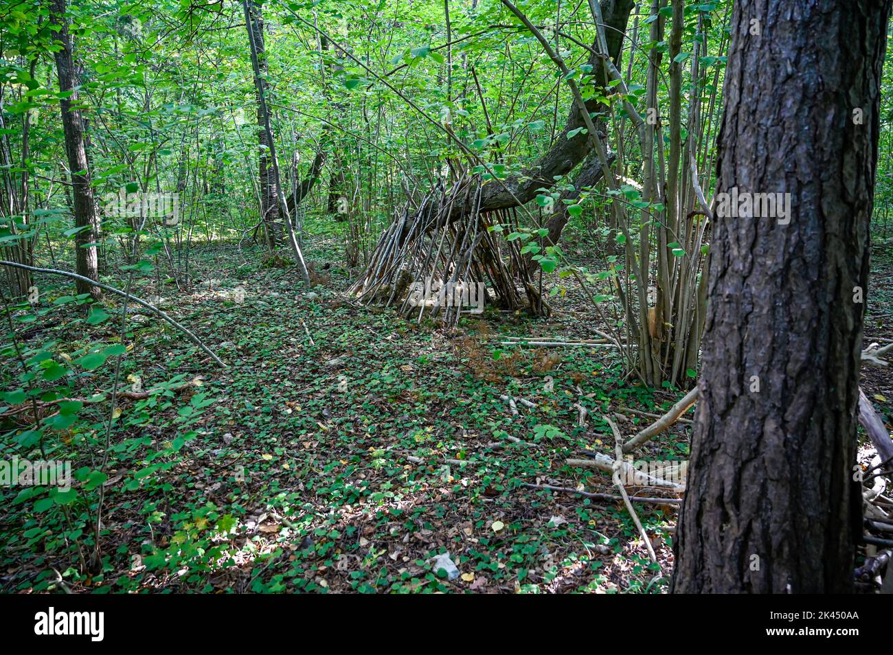 small hut built of sticks for kids Stock Photo - Alamy