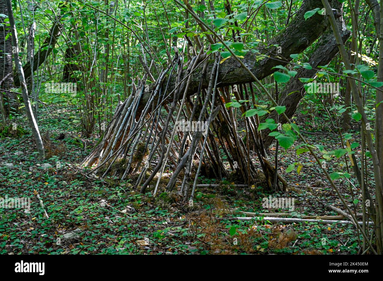 small hut built of sticks for kids Stock Photo - Alamy