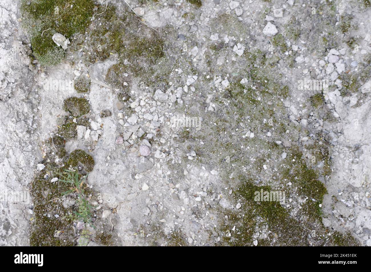 Texture stock photo Stock Photo - Alamy