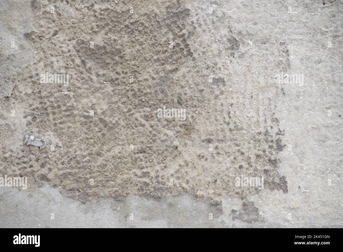 Texture stock photo Stock Photo - Alamy