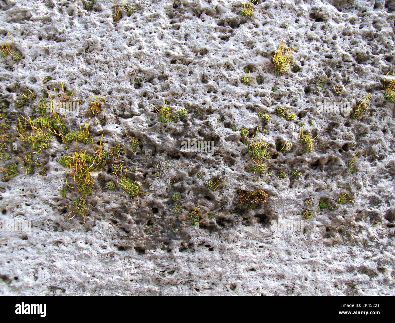 Texture stock photo Stock Photo - Alamy
