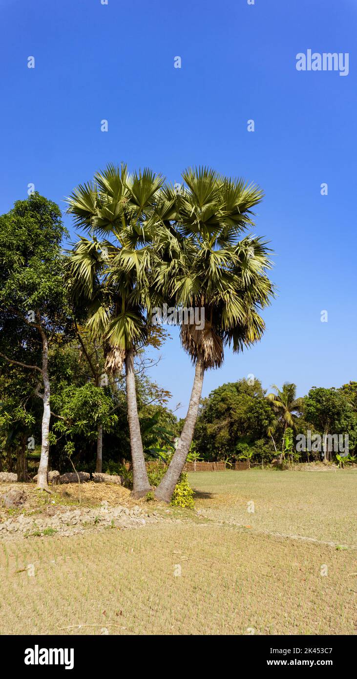 This is a high-resolution natural landscape image. The natural scenery ...