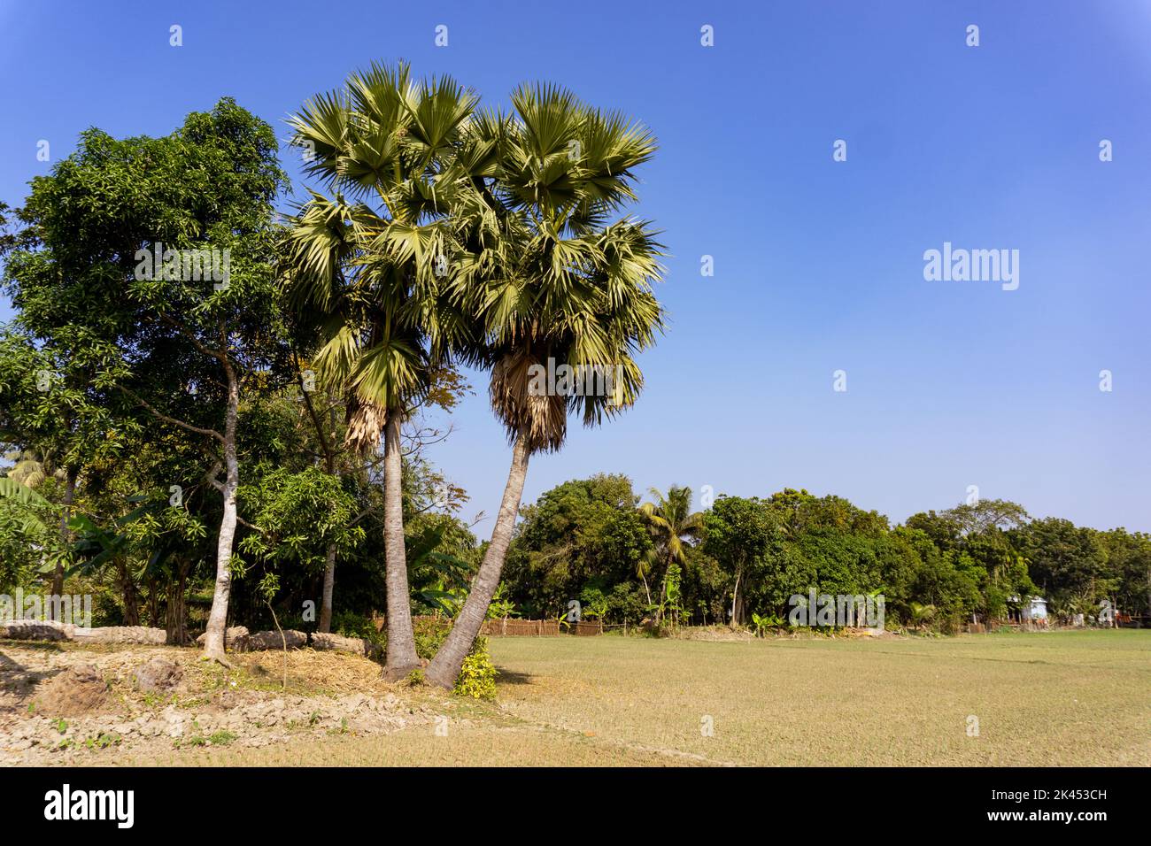 This is a high-resolution natural landscape image. The natural scenery ...