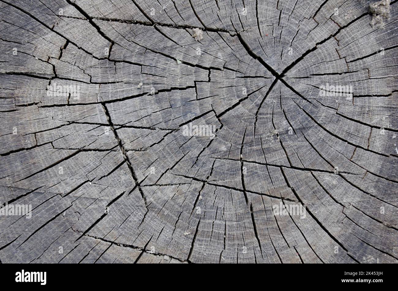 Wood Background - Stock Image Stock Photo - Alamy
