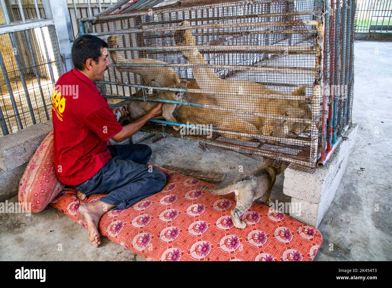 Gaza City, Gaza Strip, Palestine. 28th Sep, 2022. Gaza, Palestine. 28 ...