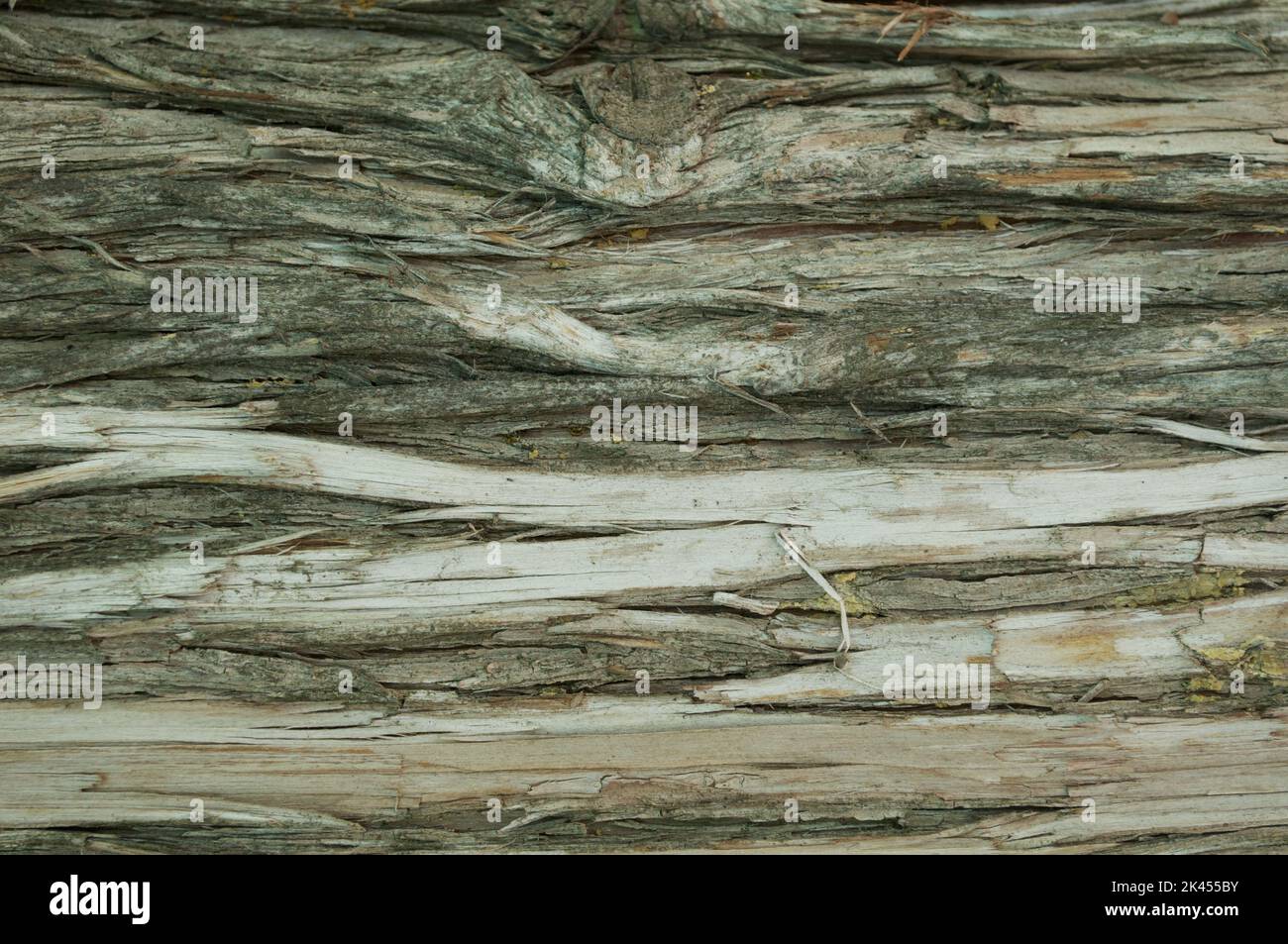 Wood Background - Stock Image Stock Photo - Alamy