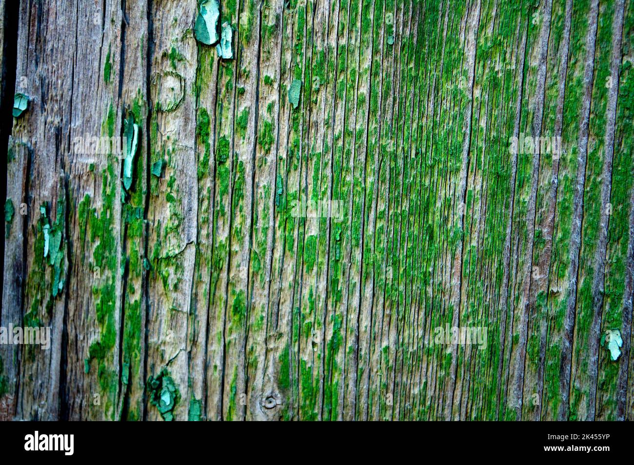 Wood Background - Stock Image Stock Photo - Alamy