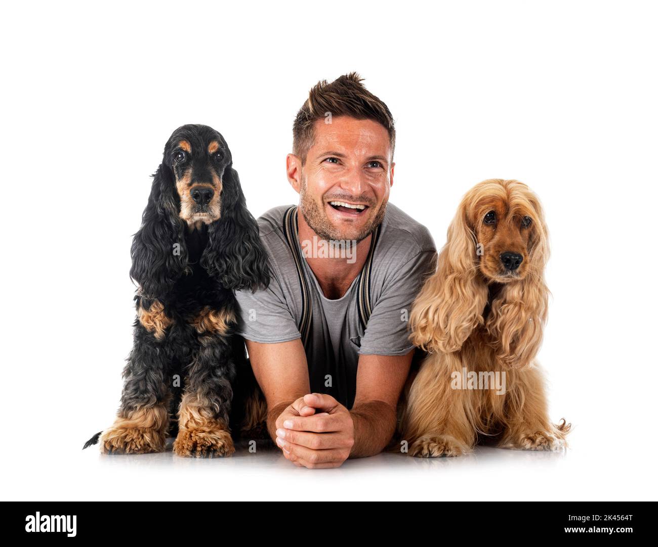 Cocker spaniel happy Cut Out Stock Images & Pictures - Alamy