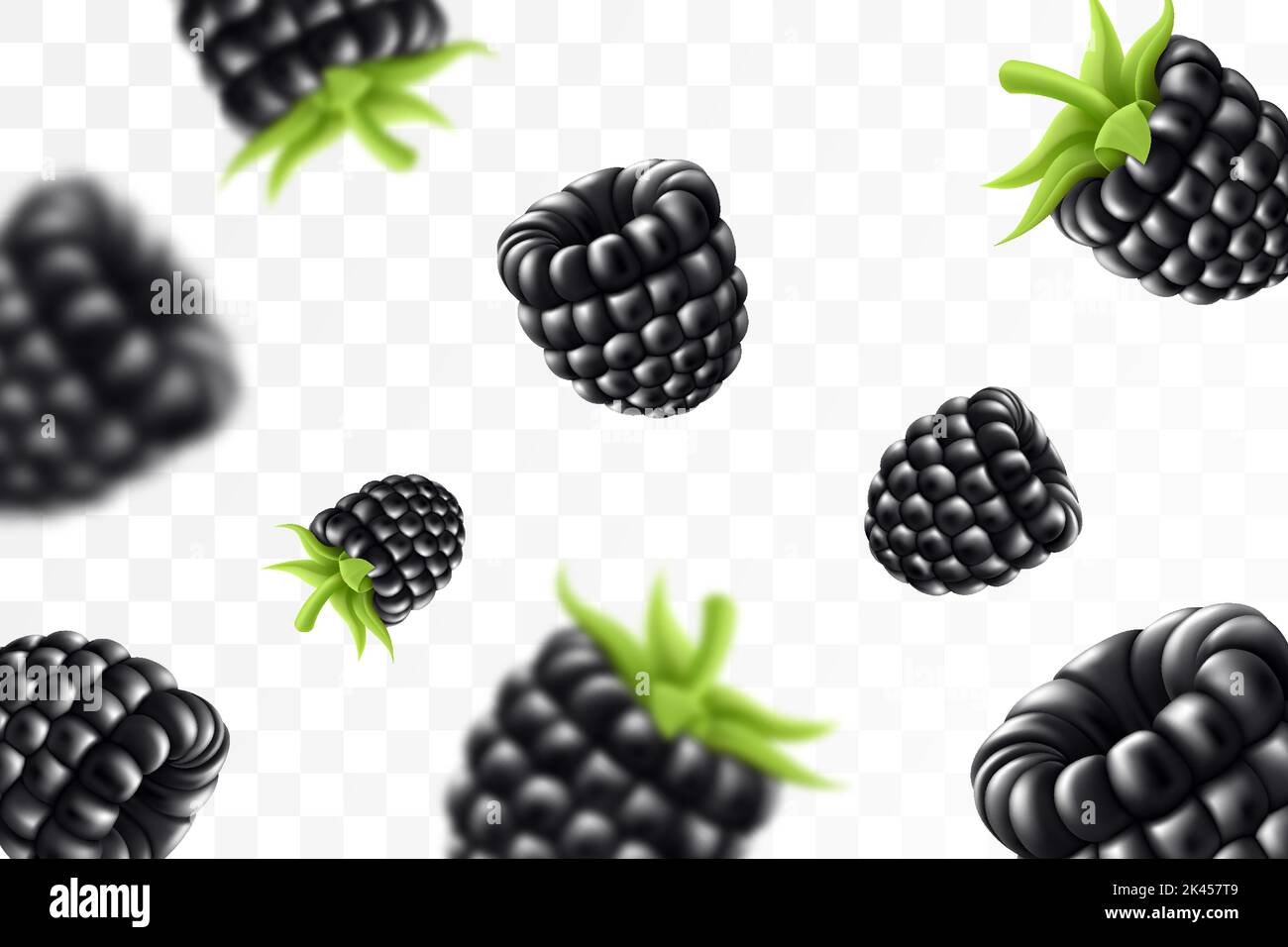 Blackberry Logo Transparent Background
