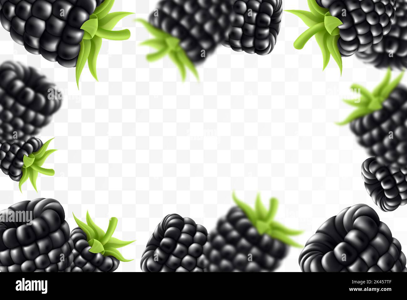 Blackberry background. Flying blackberry with green leaf on transparent ...