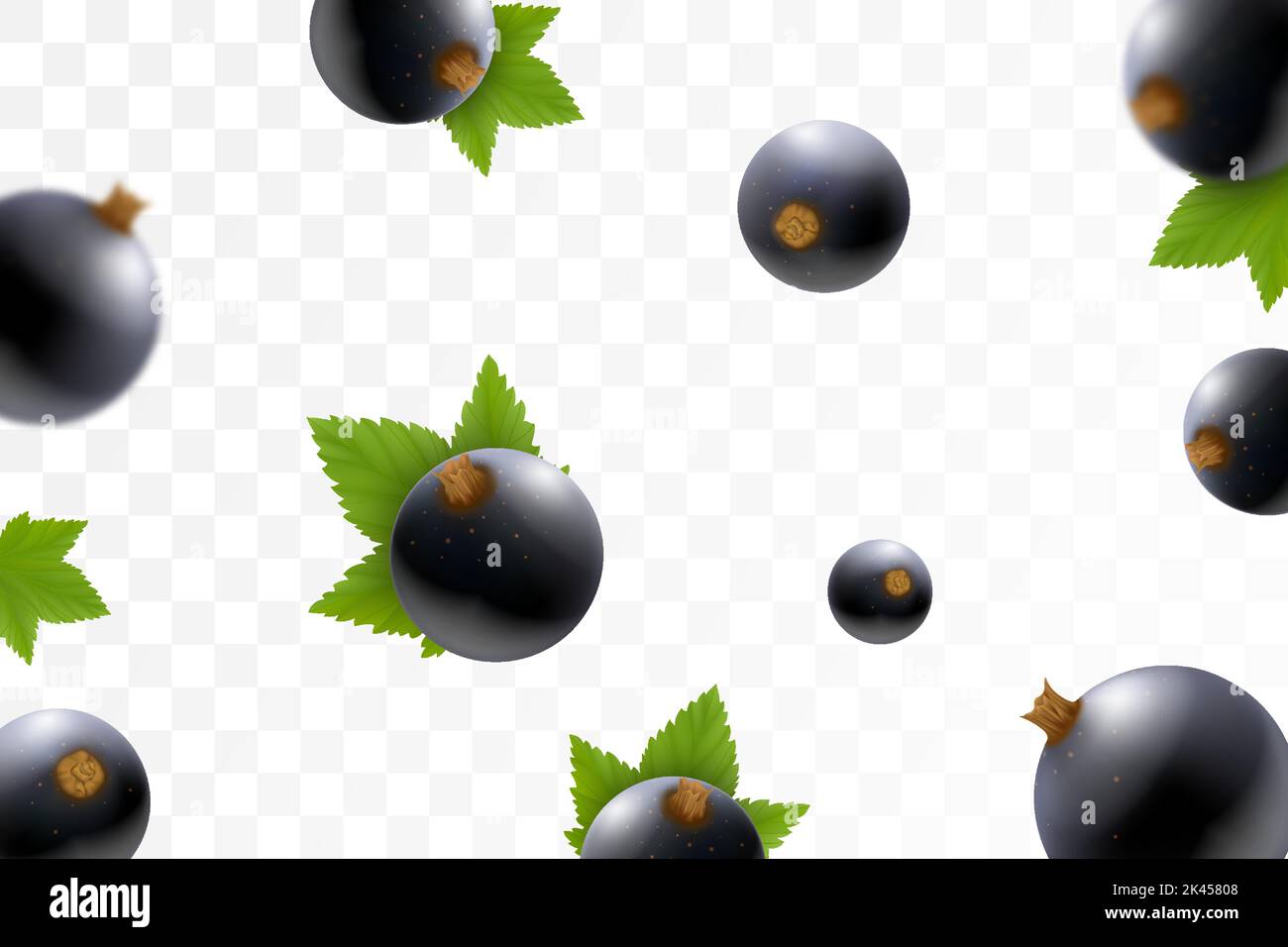 Blackberry background. Flying blackberry with green leaf on transparent ...