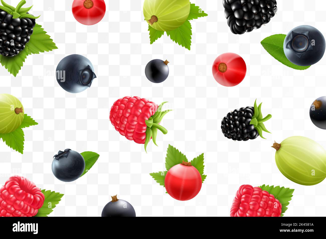 Flying raspberry, blackberry, gooseberry, currant, cranberry, and ...