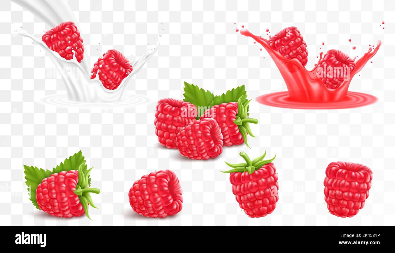 Collection of ripe raspberries isolated on transparent background ...