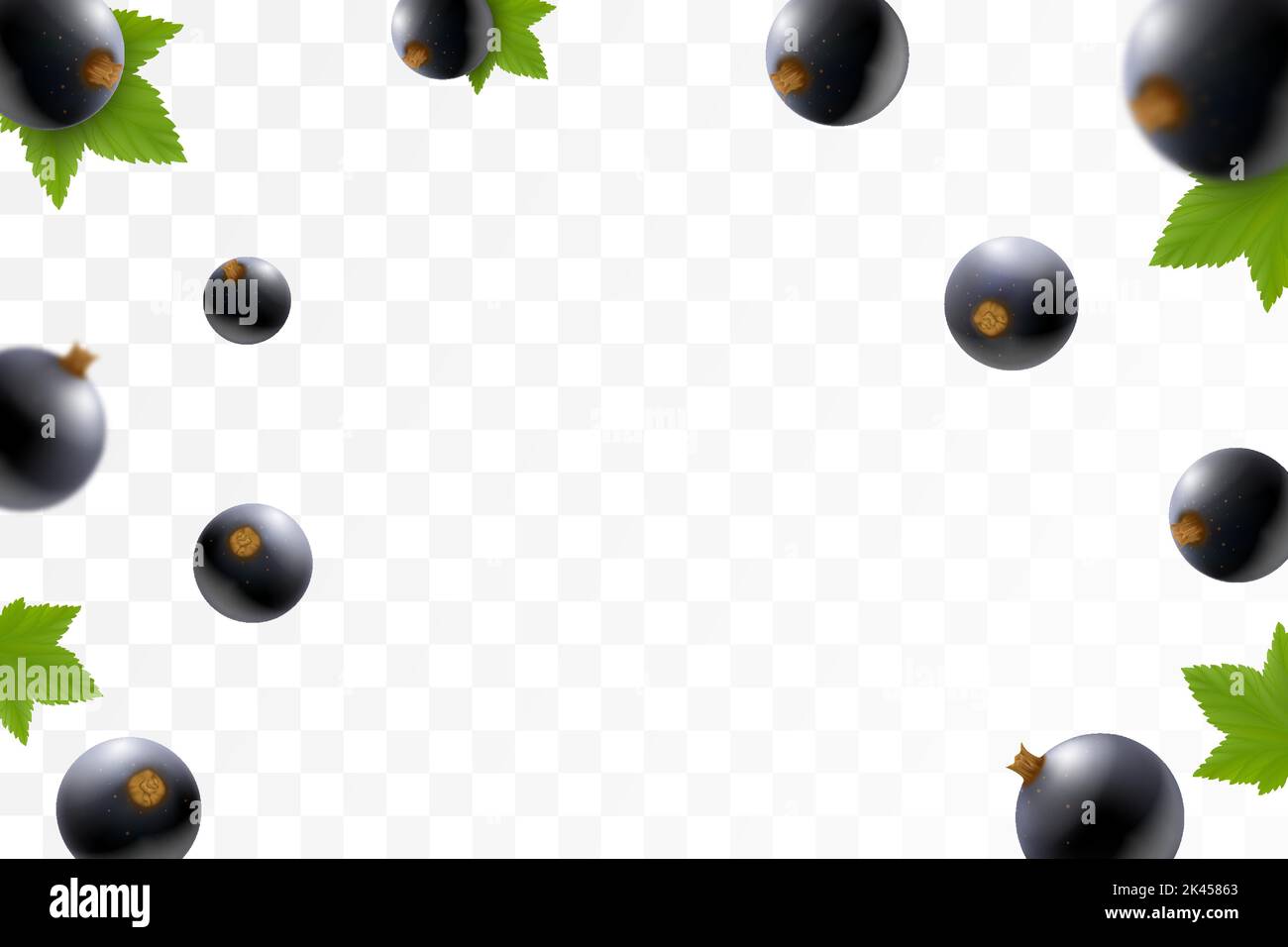 Black currant or blueberry background. Flying currant with green leaf ...