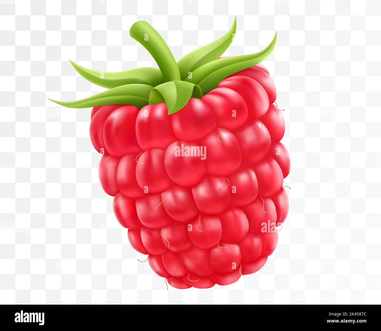 Ripe raspberry isolated on transparent background. Natural summer fruit ...