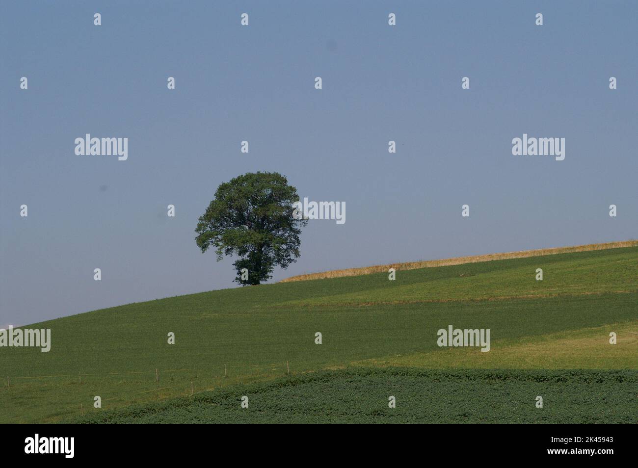 Colourful spring landscape hi-res stock photography and images - Alamy