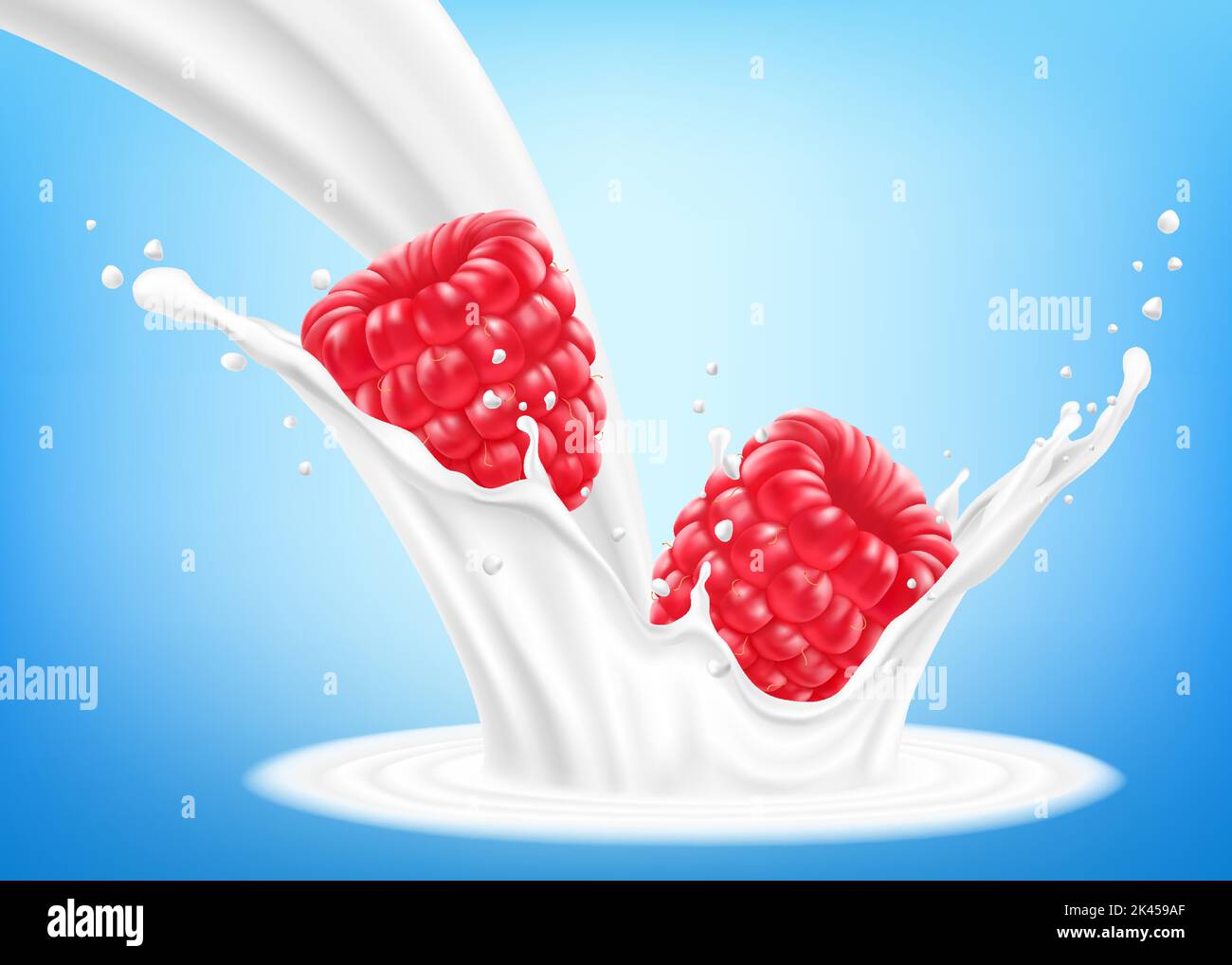 Fresh raspberry in a splash of milk or yogurt. Fresh berry falls into ...