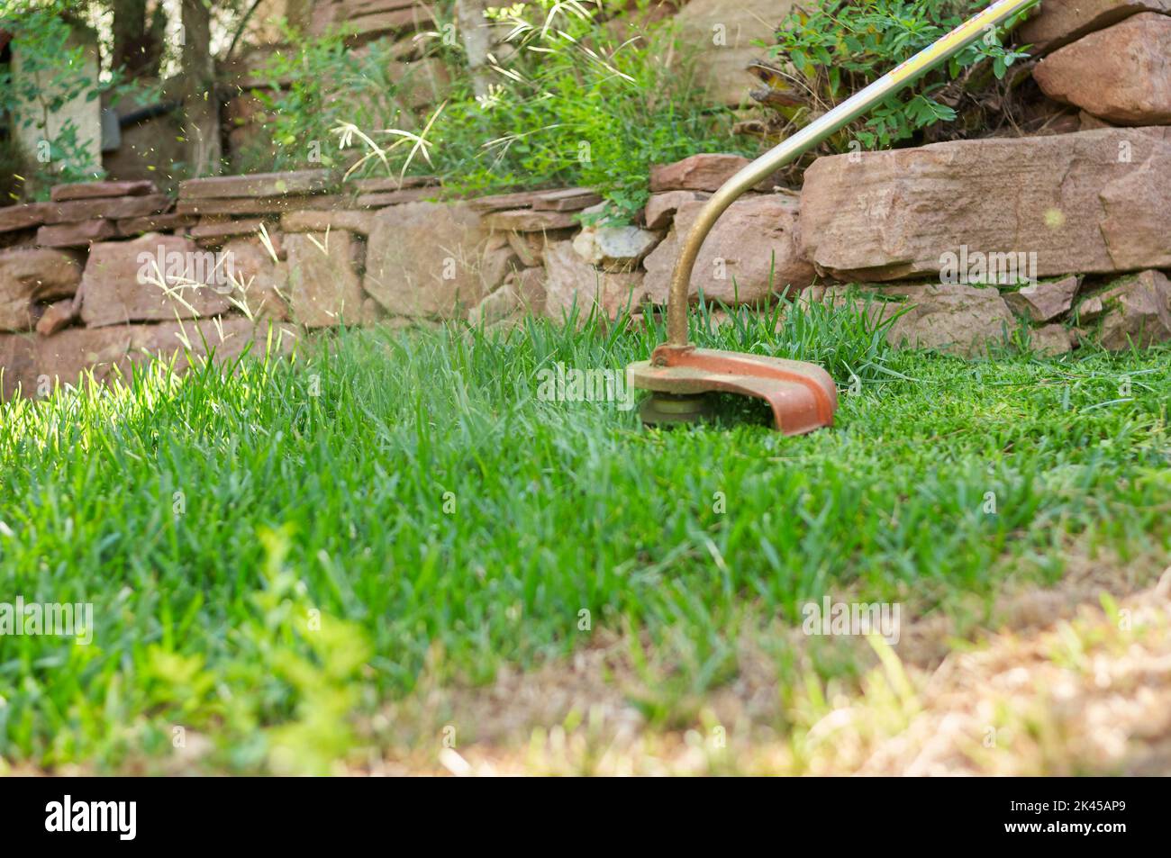 electric braid on grass background Stock Photo - Alamy