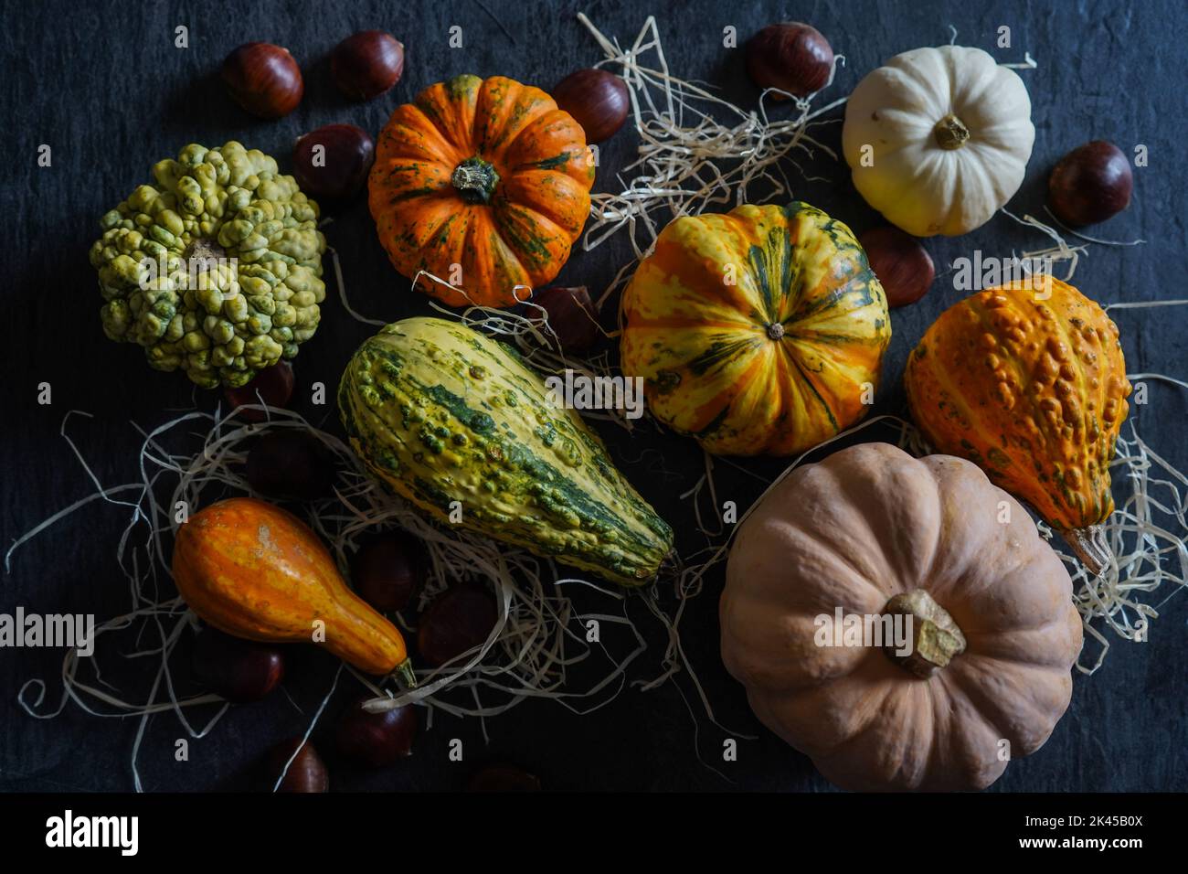 Hello pumpkins hi-res stock photography and images - Alamy