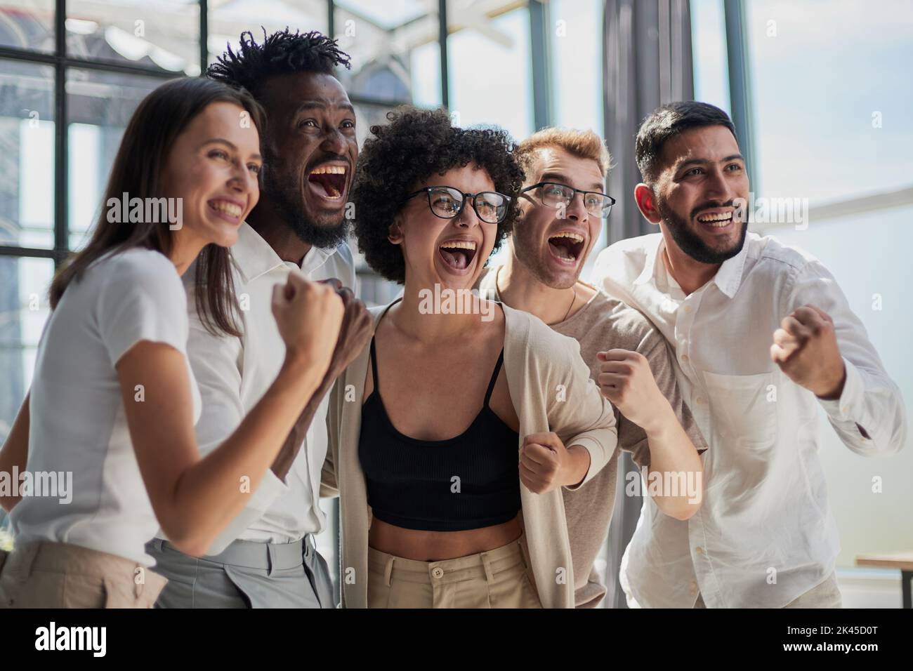 Smiling professional business leaders and employees group team portrait ...