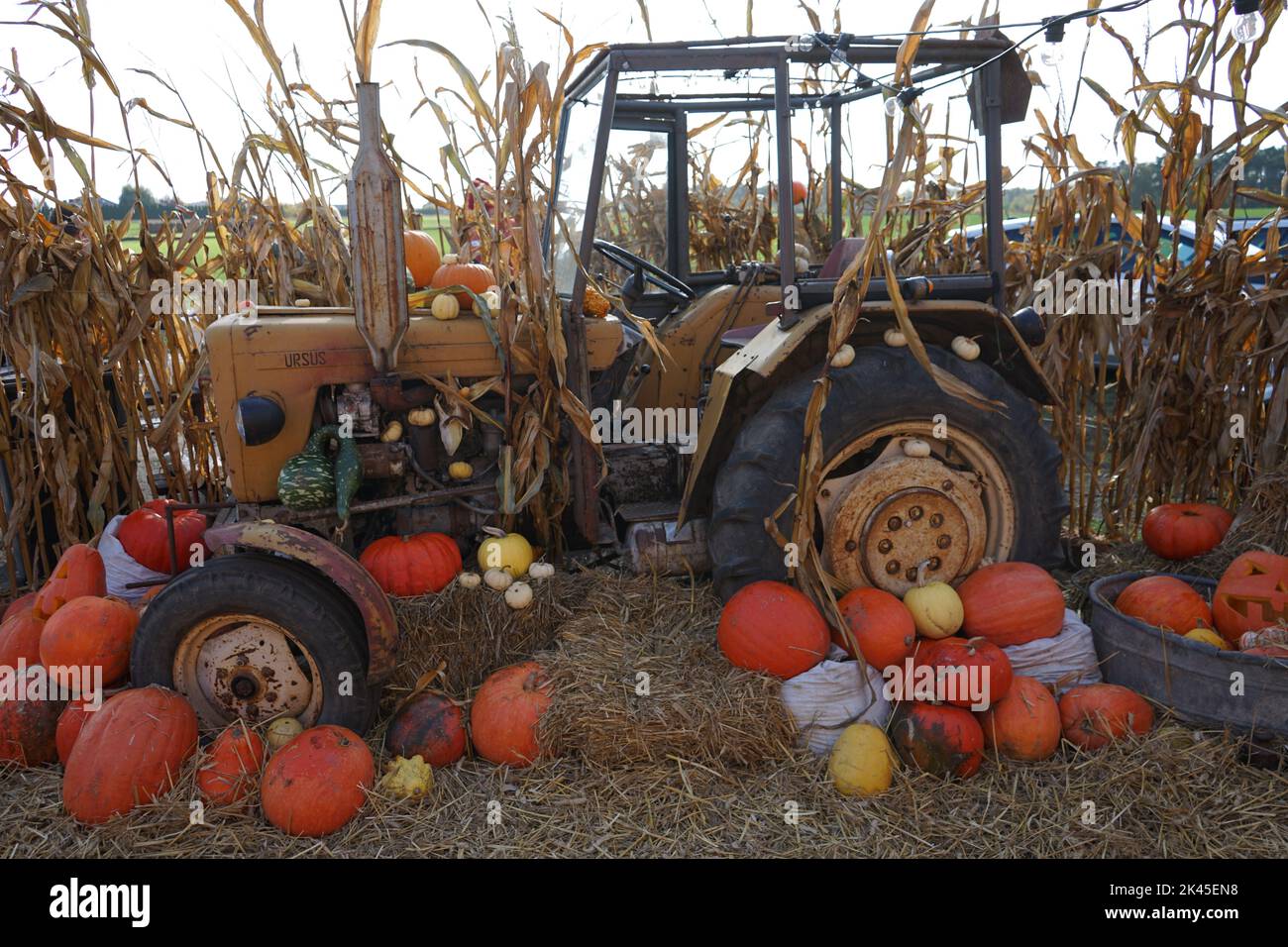 Tractor with pumpkins hi-res stock photography and images - Alamy