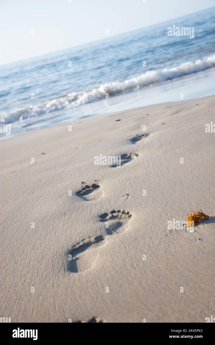 Footsteps on the beach in a sunset Stock Photo - Alamy