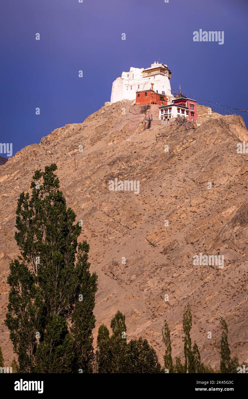 Namgyal Tsemo Gompa (Monastery), Leh, Ladakh, India Stock Photo - Alamy