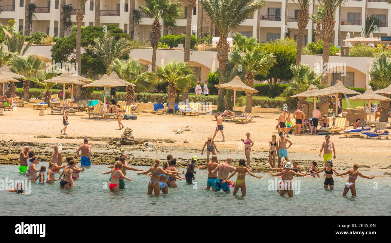 many people making rhythmic gymnastics in the water at the beach on ...