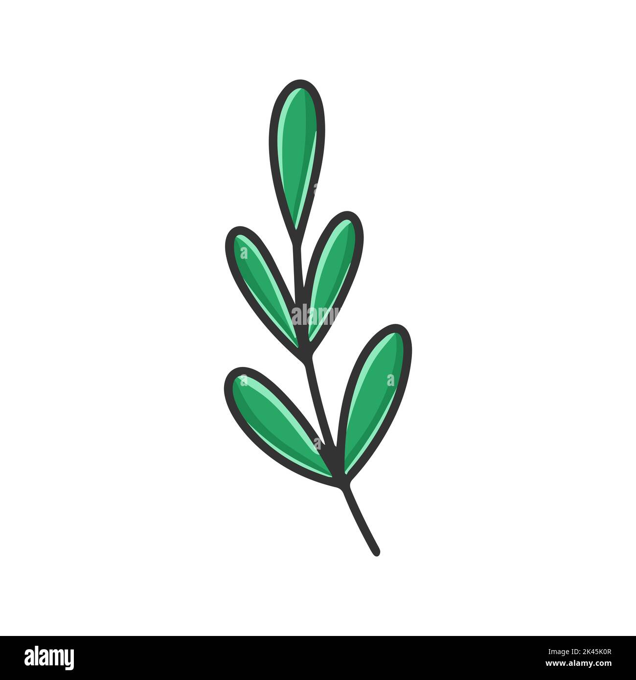 Branch with green rounded leaves clipart cartoon. Natural foliage ...