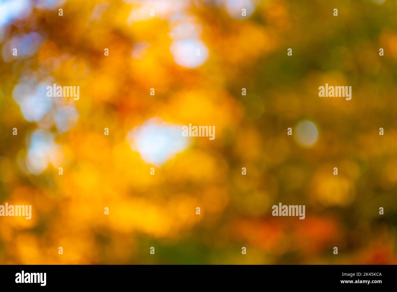 blurred bright background. bright blurred background. bright blurred ...