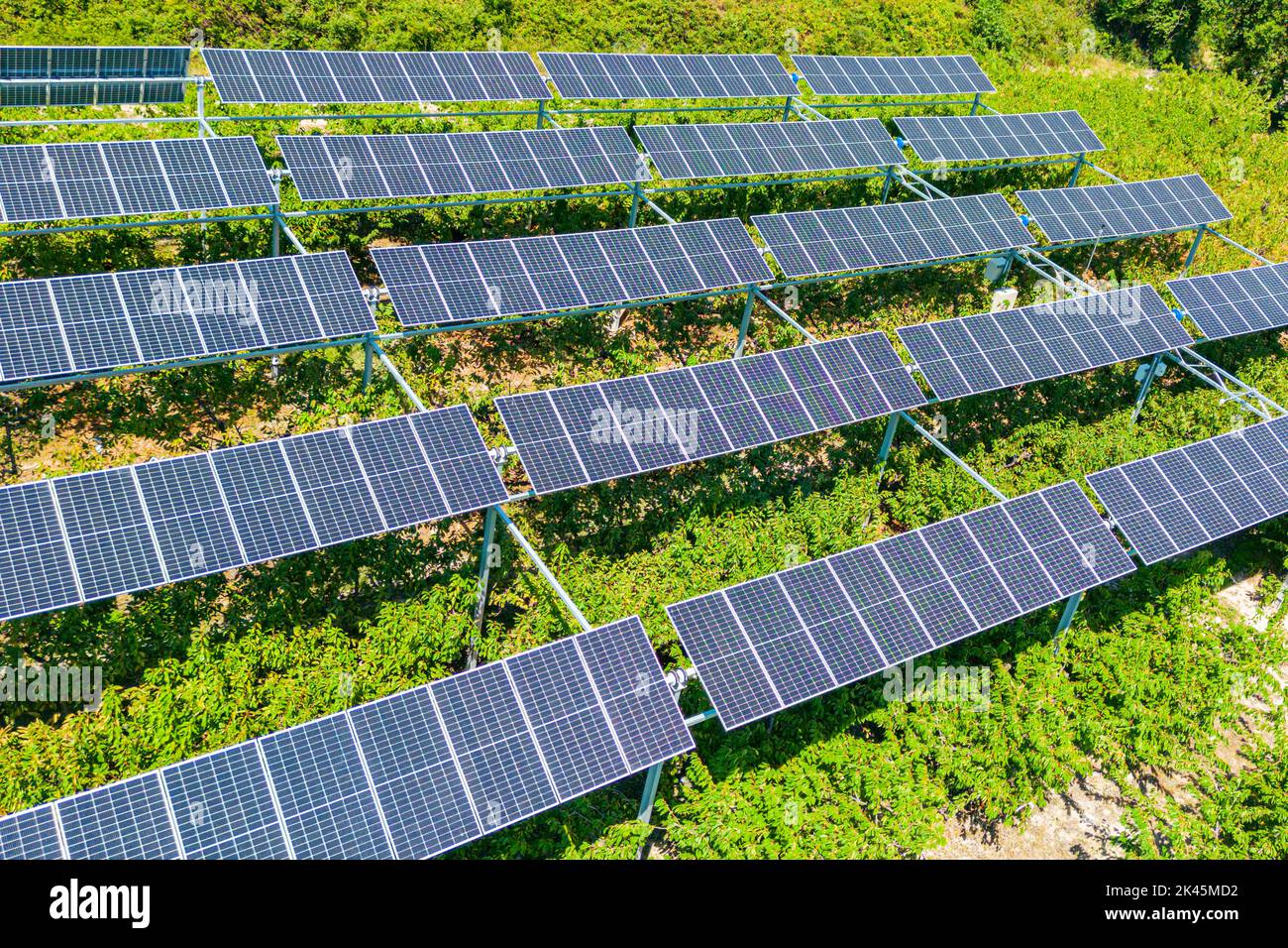 A field of photovoltaic panels Stock Photo - Alamy