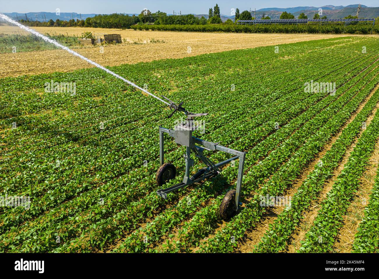 Aerial drone view drip irrigation hi-res stock photography and images ...
