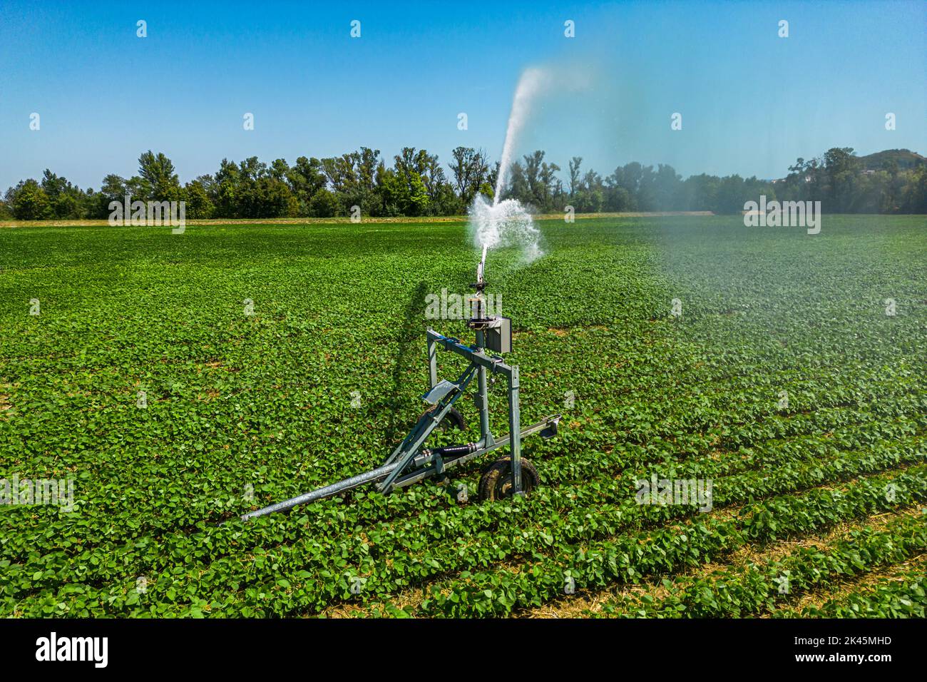 Aerial view by a drone of a field being irrigated by powerful ...