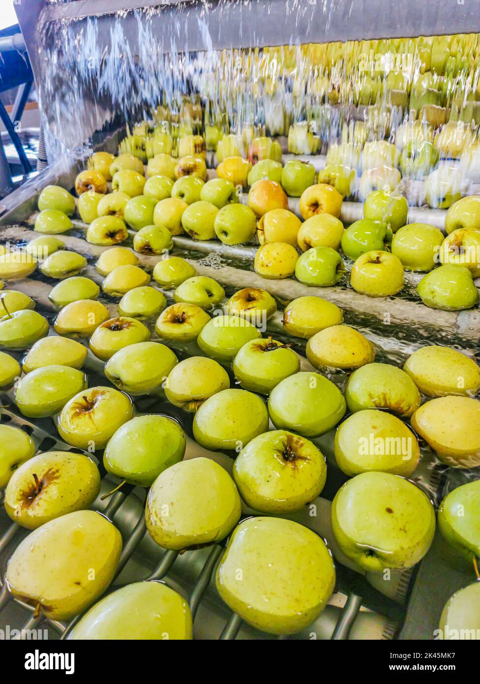 The process of preparing apples and their processing in a pool of water ...