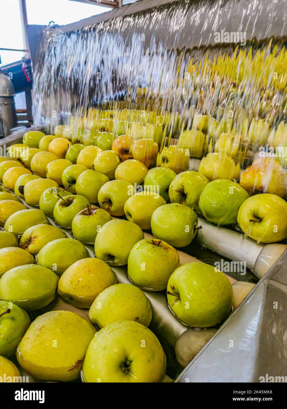 The process of preparing apples and their processing in a pool of water ...
